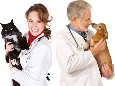 DRCHAZ – HEALTH and WELLNESS… HAPPIER LIFE!5 Things Vets Want You to ...